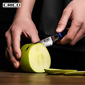 CRICO Paring Knife 3.5 inch Fruit Knife, Small Kitchen Knives, VG10 Damascus Super Steel 67-Layers, Full Tang Wood&Resin Handle, Gift Box - Flow Series