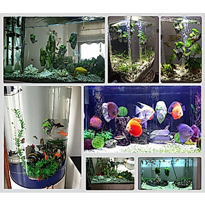 dgudgu Decorations Aquarium Decorations fish tank Accessories Aquarium Décor Floating Rocks Betta Decorations Hallelujah Mountains