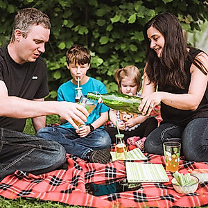 Water Kefir Starter Kit - Swivel Top Bottle, Organic Sugar, Nylon Strainer, & Water Kefir Grains Made from Organic Specialty Sugars and Natural Spring Water
