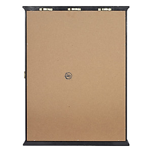 DisplayGifts Souvenir Shot Glass Display Case Shadow Box Wall Mounted Cabinet Mirror Background Black