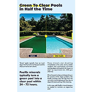Pool RX 332001 PoolRX+ Booster Blue Swimming Pool Algaecide, Single Unit