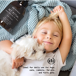 Muse Apothecary Pet Ritual Foaming Waterless Shampoo for Dogs, Waterless Dog Shampoo Foam, No Rinse Dog Shampoo, Waterless Dog Shampoo for Large Dogs - Essential Oils Infused, 11.5oz Lavender Fields