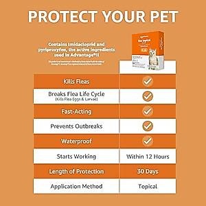 Amazon Basics Topical Flea Treatment for Medium Cats (5-9 Pounds), 6 Count (Previously Solimo)