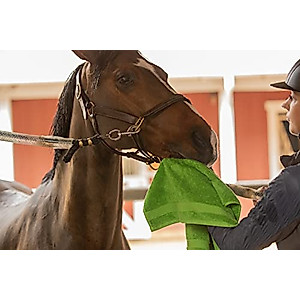 Kawell USA Natural Horse Shampoo for Skin and Coat Care - suitable for Minor Injuries, Cuts, Ulcers, Skin Allergies and Irritations, infused with Matico Healing Properties, 32 oz.