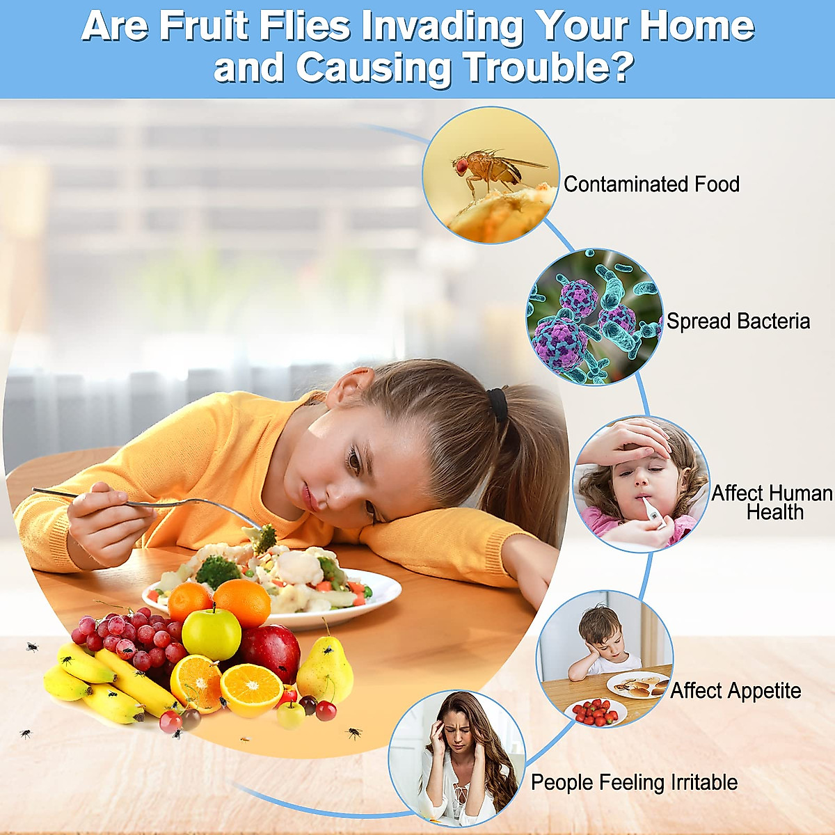 Fruit Fly Trap for Indoors,Effective Fruit Fly Killer Catcher Gnat Trap ...