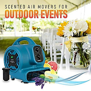 XPOWER P-260NT Freshen Aire Scented Air Mover Scent Diffusing Fan + Ionizer for Immediate Scenting, Cooling, Ventilating, & Drying of Large Areas Blue