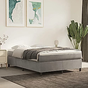 vidaXL Box Spring Bed Frame Home Indoor Bed Accessory Bedroom Upholstered Double Bed Base Furniture Light Gray 59.8"x79.9" Queen Velvet