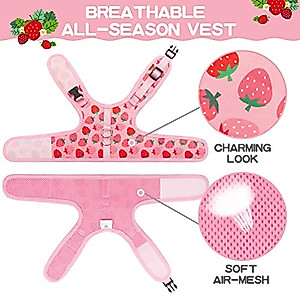 BINGPET Cat Harness with Leash Escape Proof - Fashionable Mesh Cat Dog Walking Harness Leads, Adjustable for Kitties Puppies Small Animals