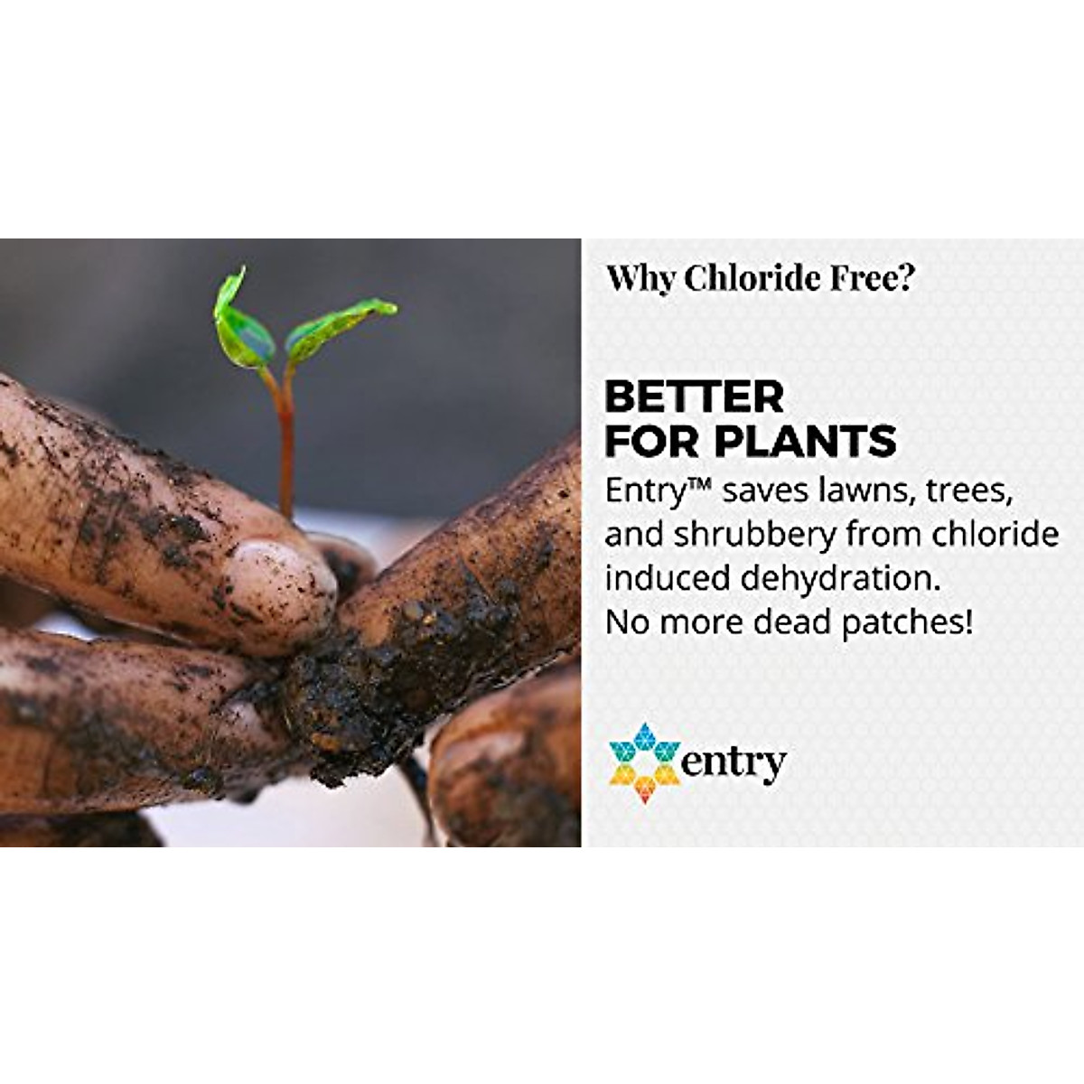 Branch Creek Entry Chloride-Free, Non-Toxic, Liquid Snow and Ice Melt Certified Safe for Pets, Plants, Floors, Concrete, Sidewalks, and Metal for Residential or Commercial Use (0.5 Gallon)