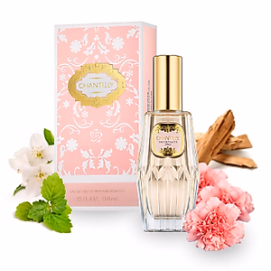 Dana Chantilly EDT Spray 3.5 oz