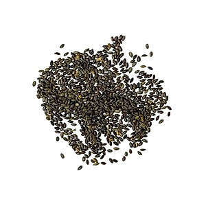 Seed Needs, Scarlet Red Sage Seeds - 800 Heirloom Seeds for Planting Salvia coccinea - Perennial Wildflower for an Outdoor Garden, Open Pollinated & Attracts Pollinators (1 Pack)