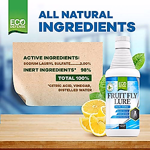 Eco Defense Fruit Fly Killer – Natural Fruit Fly Trap & Drain Fly Killer Treatment for Indoor Fly Control in Kitchen, Restaurants, and More 16 oz