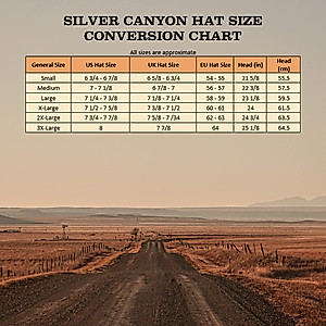 Silver Canyon Winslow Western Wool Cowboy Hat, Wool, Shapeable, Water Repellent, Pecan, Size X-Large