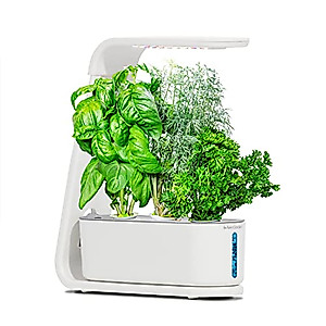 AeroGarden Sprout with Gourmet Herbs Seed Pod Kit - Hydroponic Indoor Garden, White