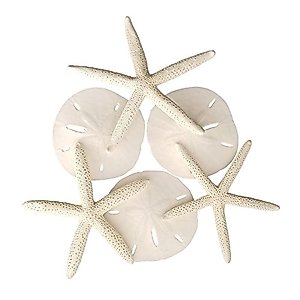 Set of 6 White Starfish and Sand Dollars - 3 Finger Starfish 4 to 6 inch and 3 Sand Dollars 3 to 3.5 inch - Starfish and Sand Dollars for Crafts by Tumbler Home