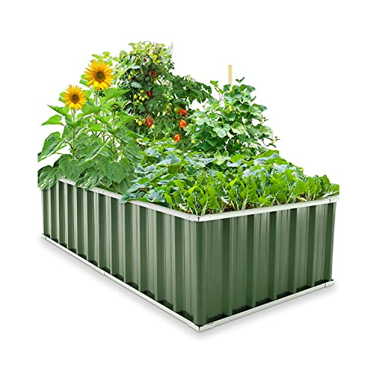 KING BIRD 6x3x1.5ft Galvanized Raised Garden Bed Outdoor Heightened Steel Metal Planter Box for Deep-Rooted Vegetables, Flowers, Large Raised Bed Kit(Green)