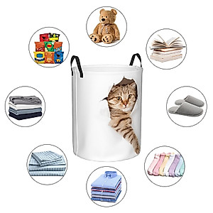 Gbuzozie Cute Cat In White Hole Round Laundry Hamper Storage Basket Toys Clothes Organizer Bin For Home Bathroom Bedroom Dorm Nursery, 62l