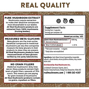 Lions Mane Brain and Focus Supplements - Mushroom Powder Extract Capsules - Non GMO and Gluten Free Supplement for Better Cognitive Health