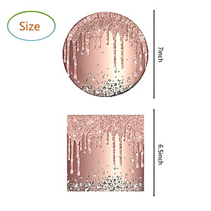 Pink Rose Gold Birthday Party Supplies, 20 Plates and 20 Napkins, Pink Rose Gold Theme Birthday Party Decoration for Girls Women