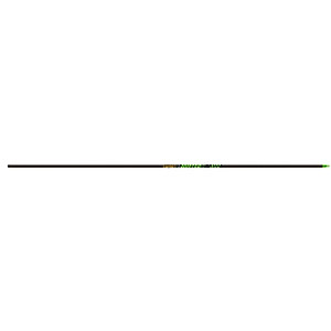 Gold Tip Hunter XT Arrow Shafts (Pack of 12), Black, 300