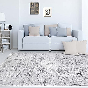 SUPERIOR Indoor Large Area Rug, Unique Rugs for Floor Accent, Bedroom, Living/Dining Room, Kitchen, Office, Entry, Rustic Home Decor, Cotton Backed, Huda Collection, 9' x 12', Azure