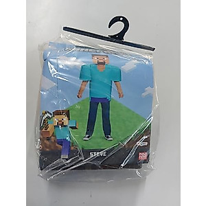 Steve Classic Minecraft Costume, Multicolor, Medium (7-8)