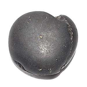 Rudrakshguru Laxmi Narasimha Shaligram