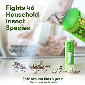 BugMD Bed Bug Trap (3 Pack), BugMD Essential Pest Control Concentrate (1 Pack) and Spray Bottle 32 oz (1 Pack) Bundle