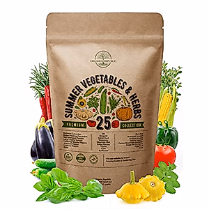 25 Summer Vegetable & Herb Garden Seeds Variety Pack for Planting Outdoors and Indoor Home Gardening 3500+ Non-GMO Heirloom Veggie & Herb Seeds: Tomato Pepper Okra Bean Cucumber Basil Rosemary & More