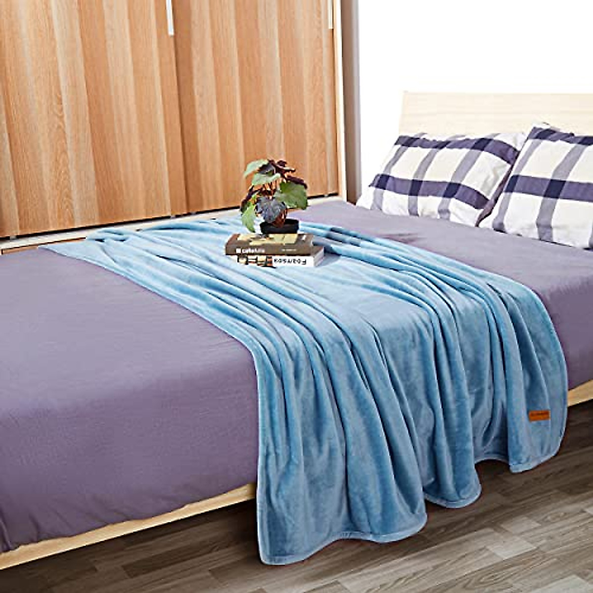 Surii Home Luxury Microfiber Flannel Blanket, Super Soft, Warm, Cozy, Fluffy, and Breathable, Perfect Throws for Bed, Couch, Sofa, for All Season Use. 350GSM Travel Size 50x60 Inches(Sky Blue)