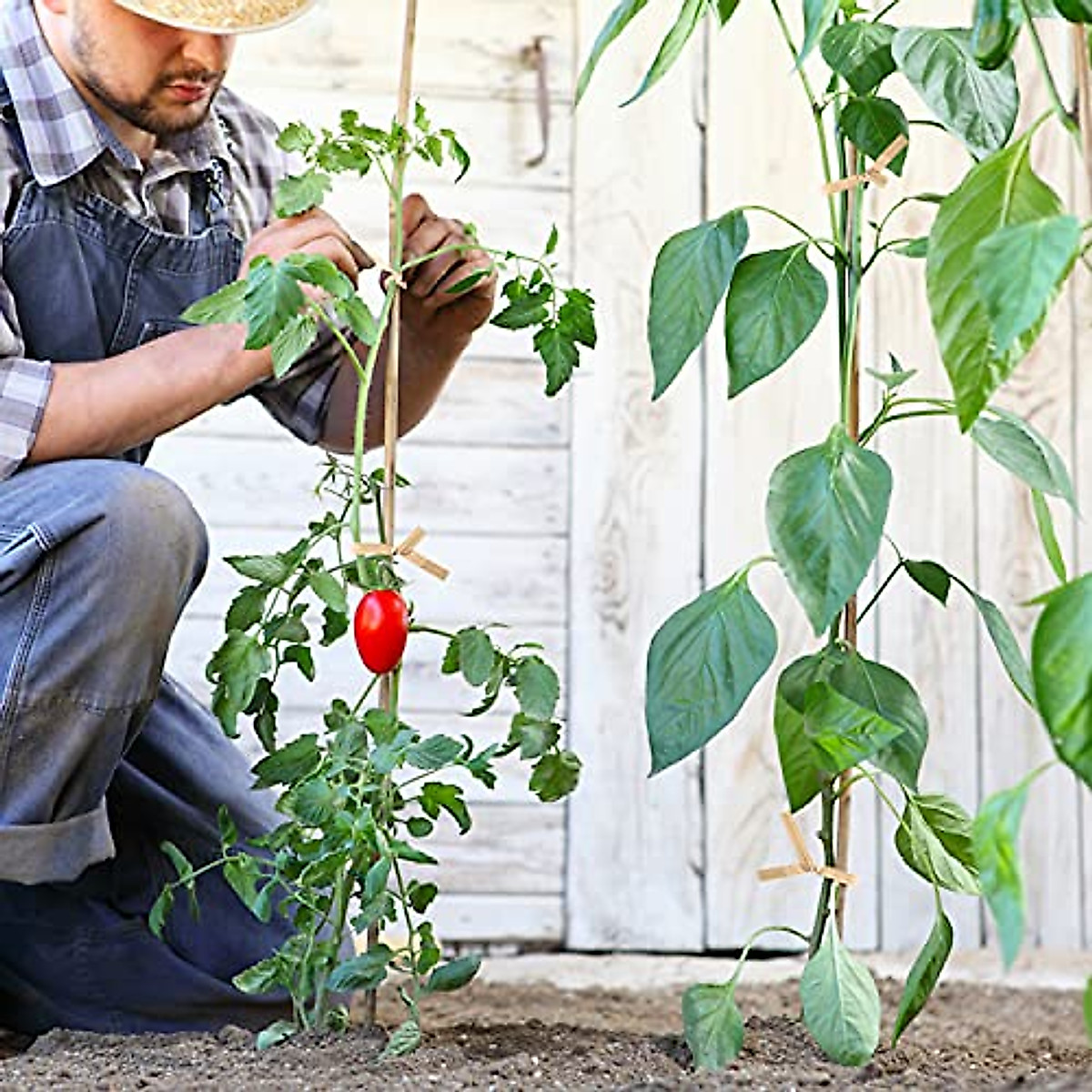 1000 Pcs 6" Twist Ties, Kraft Paper Twist Ties Plant Ties Cable Ties Reusable Bread Ties for Party Cello Candy Coffee Treat Bags Cake Pops (6")