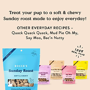 Bocce's Bakery Oven Baked Sunday Roast Treats for Dogs, Wheat-Free Everyday Dog Treats, Made with Real Ingredients, Baked in The USA, All-Natural Soft & Chewy Cookies, Chicken & Pumpkin Recipe, 6 oz
