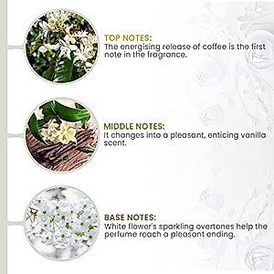 Amelia Pour Femme | 3.4 oz Eau De Parfum Spray | Fragrance for Women