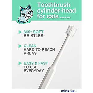 MIND UP Cat Toothbrush Cylinder Head | 360-Degree Toothbrush for Lovely cat | Length 6 in Bristle Diameter 0.49 in