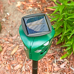 Sunnydaze 360° Solar-Powered Ultrasonic Animal Repeller with Mounting Pole - Solar Power or USB - 3 PIR Motion Sensors