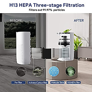 Air Purifier for Home Large Room, Bagotte 4-in-1 H13 HEPA Filter Air Purifier up to 1725 ft² in 60 Min, 24dB Quiet 4 Speeds 6 watts Sleep Mode Energy Saving, Remove 99.97% Dust Smoke Odor Ozone Free