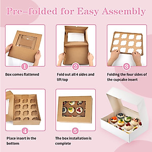 Svalor Cupcake Boxes, 2 Pack Disposable Cupcake Containers, Food Grade Cupcake Carrier 12 Count with Window and Inserts, Cupcake Transport Holders Bulk for Muffins Cookies Treats Dessert（White）