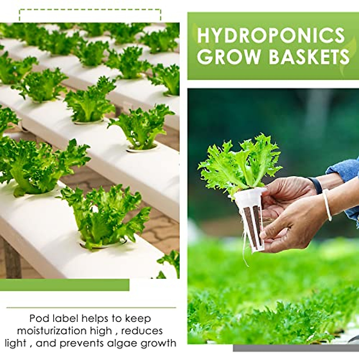 Growth Sponges Seed Pods Kit for Aero Garden Pods Hydroponics Sponge Plant Grow Sponges Seed Starter Pods with Grow Baskets Hydroponics Growing Seed Starter Kit for Seed Starting System (200 PCS)