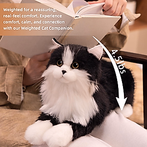 Chongker Weighted Stuffed Animals,Handmade Realistic Cat Plush Toy 4.5LBS,Lifelike Real Cat Size Companion Pet, Black Cat