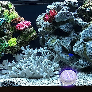 HANABASS 1 Set Suction Vase with Cup Remote Base Lamp White Fish Garden Pool Driving Underwater Ornament Tank Remoter Submersible Aquarium Light Pond Bathtub Lights Fountain for