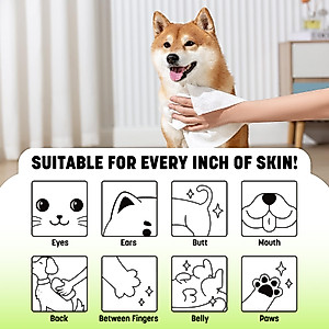 OWOCARE Dog Wipes for Paws and Butt, Plant-Based Large Pet Wipes for Dogs/Cats Hypoallergenic, 8X9 Inch Easy to Use Dog/Cat/Puppy Cleaning Grooming Wipes, Gentle, Degradable (200 Count,Unscented)