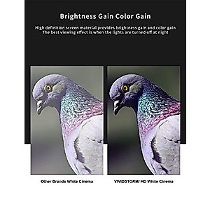 VIVIDSTORM-Projector Screen with Stand Portable Folding Stand Indoor Tension Floor Screen 4k HD All White Cinema, 4K/3D/UHD Gaming/Home Cinema,Compatible with Normally Projector,VSDSTWA84H