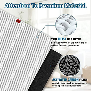 C545 Replacement Filter S Fit for Win-ix C545 Air Puri-fier, 2 Pack H13 Ture HEPA Filter and 8 Pack Activated Carbon Filters, Replace Part # 1712-0096-00 and 2522-0058-00