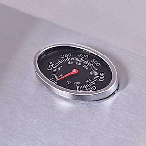 Kanizz Portable Patio LPG Dual Burner Barbeque Grill Stove w/Lid, Garden Camping Kitchen Tabletop Grill Double Burner Head 20,000 BTU Max LPG, Low Smoke Adjustable 2 Burner