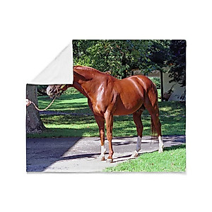 CafePress Secretariat Big Red Throw Blanket Super Soft Fleece Plush Throw Blanket, 60"x50"