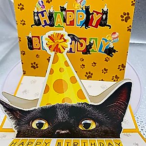 Crazytops Black Cat Birthday Card, 3D Birthday Card, Happy Birthday Pop Up Card with Envelope Postcards for Cat Lovers, Birthday Pop Up Card