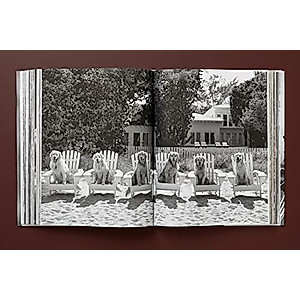 The Golden Retriever Photographic Society