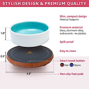 Nouvati 4-in-1 Wax Melt Warmer/Candle Warmer/Mug Warmer-Coffee Warmer for Desk Auto Shut-Off: Excellent Heating, Advanced Sensor, Safety Features, Stylish and Compact (Wood Grain)