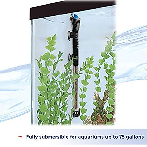 Aqueon Submersible Aquarium Fish Tank Heater For Up To 75 Gallon Aquariums, 200 Watts