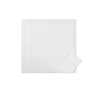 COCOYO Best Value Dog Training Pads, 22" by 22", 200 Count, BLUE